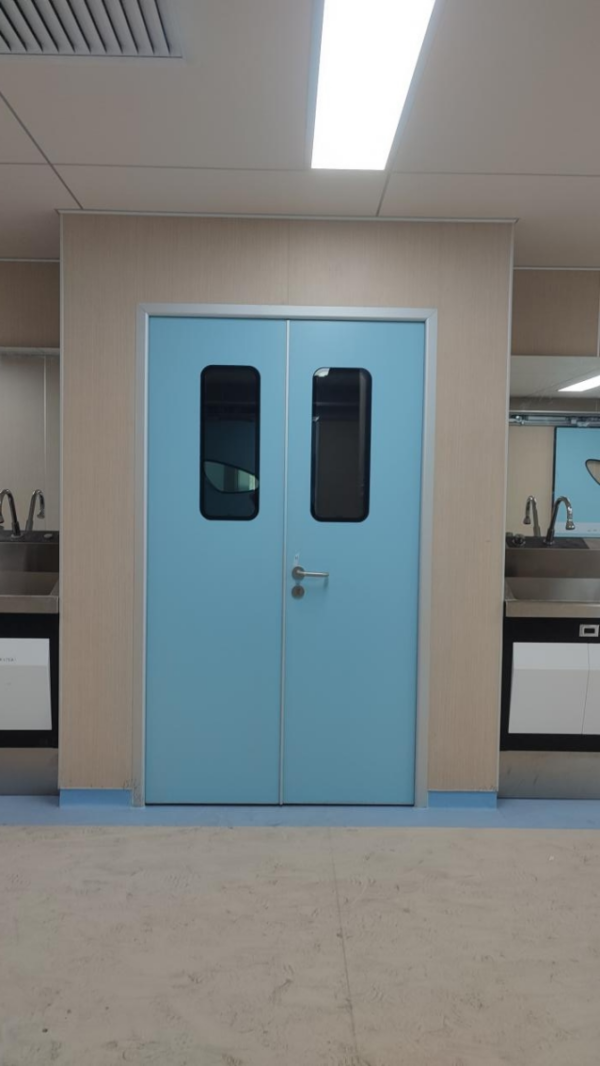 Looking for Best Cleanroom Steel Doors? Here to Know